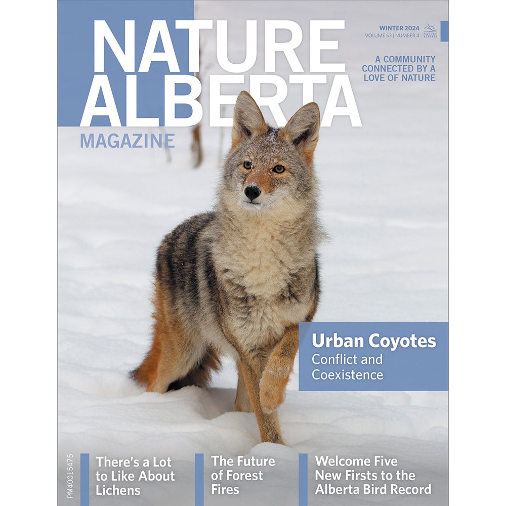 Magazine | Nature Alberta